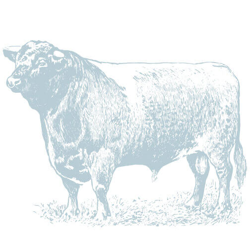 Menu — The Snailbox | Restaurant, Bar & Accommodation, Co. Meath. Ireland